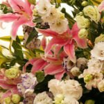 Fountain Hall | Welcome to Fountain Hall in historic downtown Culpeper